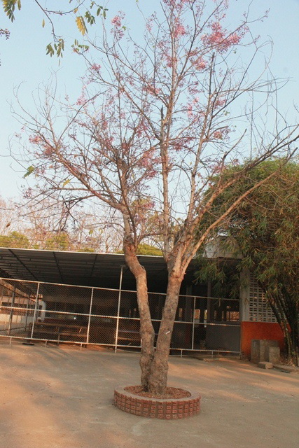 Resume - Kelly Bootstrap Template